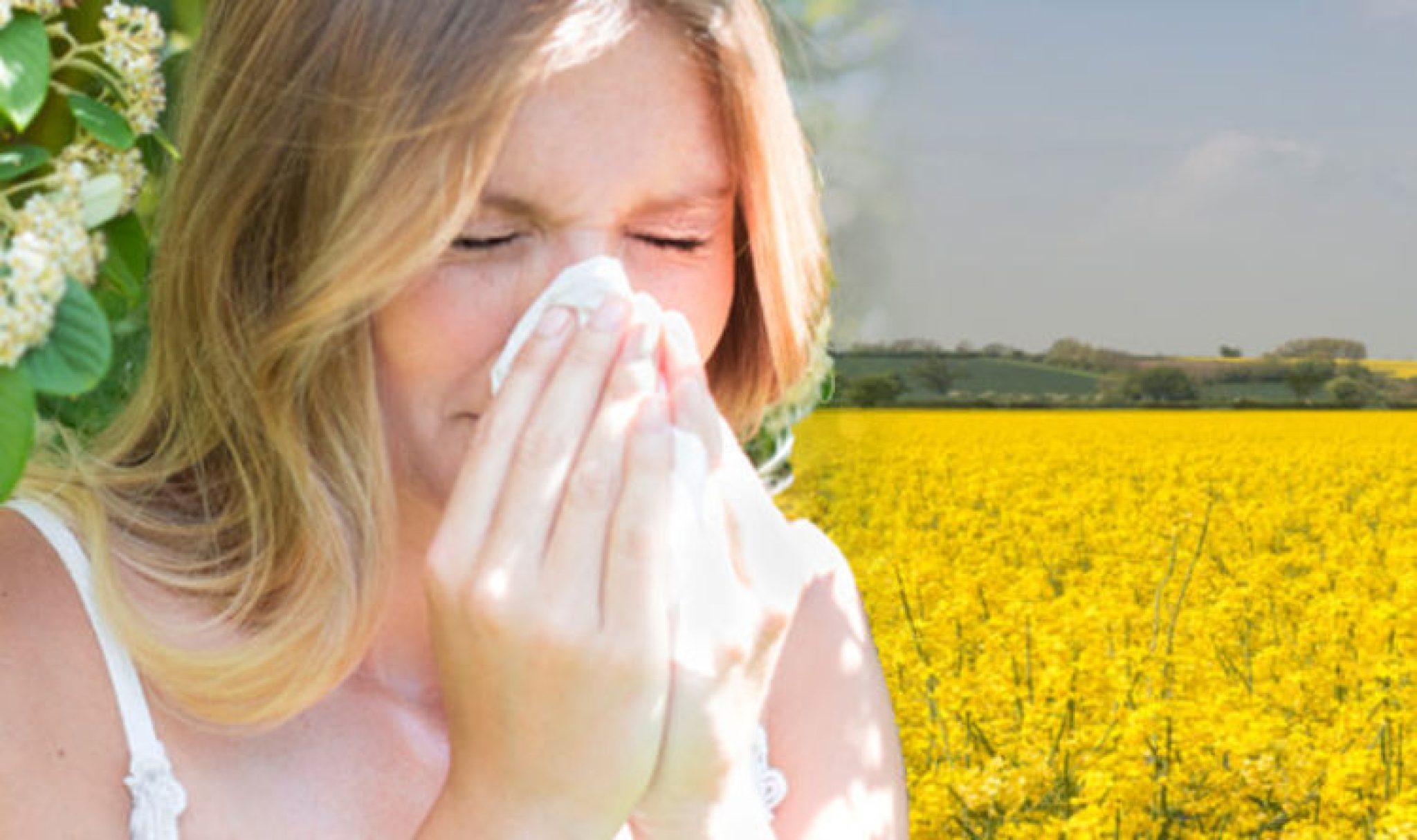 Discover Your Options for Seasonal Summer Allergy Relief